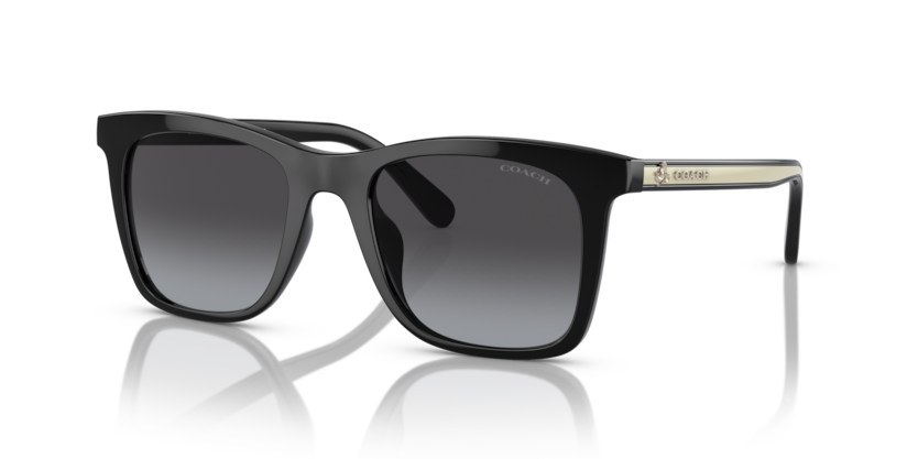Coach HC8374U - CH561 Sunglasses | Select Eyewear