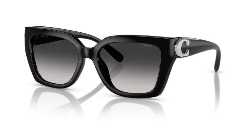 Coach HC8408F - CW202 Sunglasses | Select Eyewear