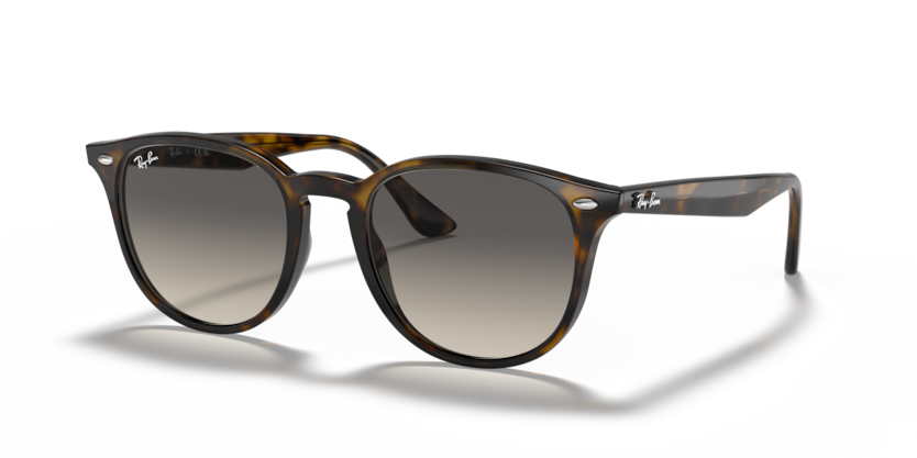 Ray-Ban RB4259 Sunglasses | Select Eyewear