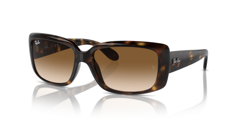 Ray-Ban RB4389 Sunglasses | Select Eyewear