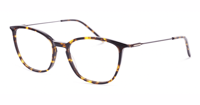 Morel Eyewear
